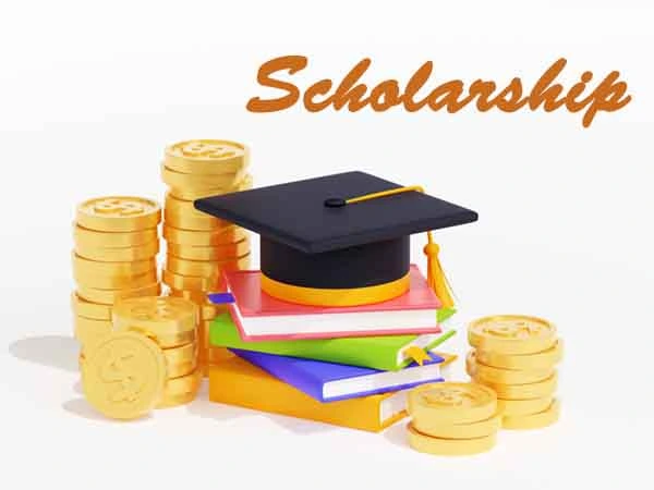 DVGI - Scholarship